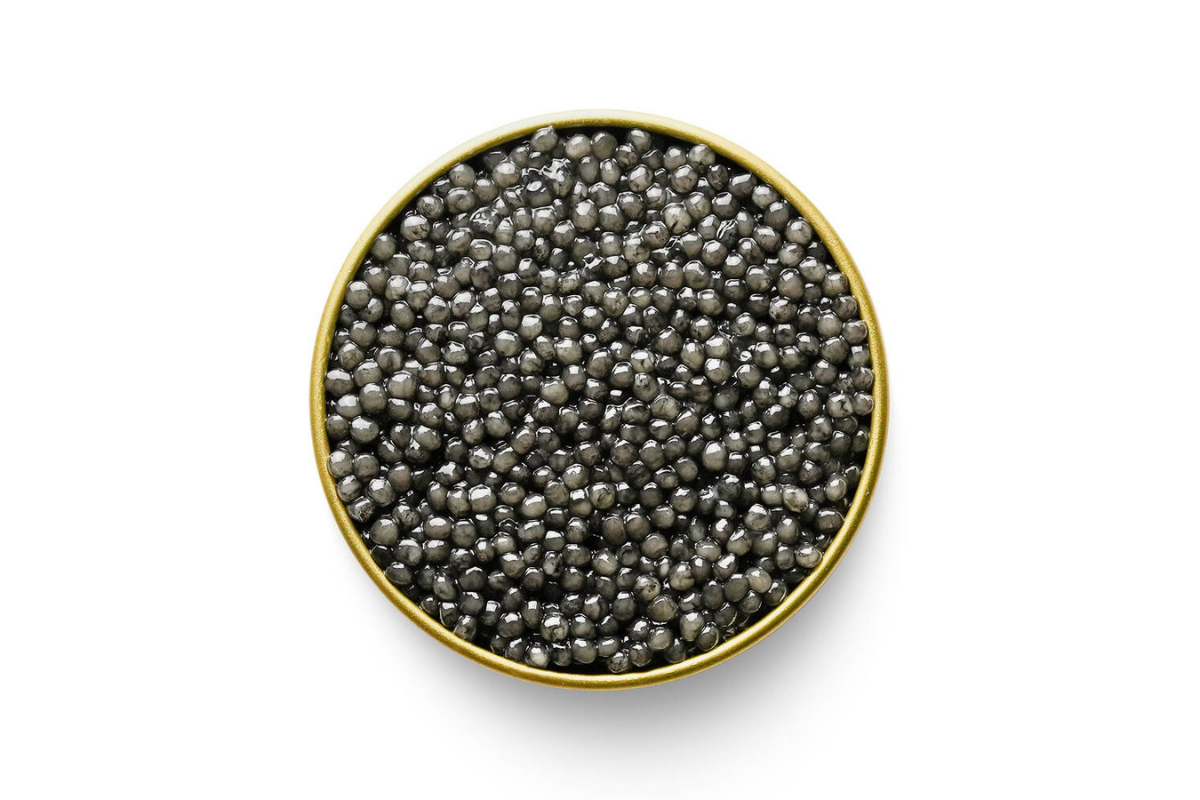 Best Caviar to Order– Travel Curator