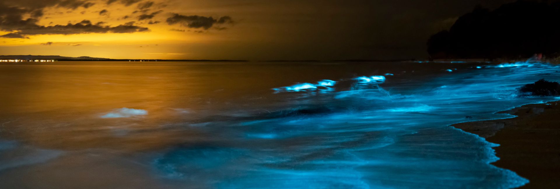 Insider’s Guide to Touring Puerto Rico’s Bioluminescent Bays – Travel ...