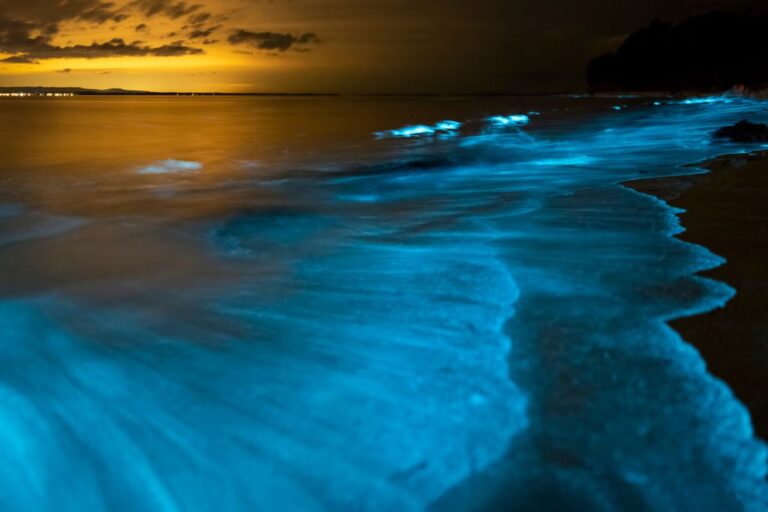 Insider’s Guide to Touring Puerto Rico’s Bioluminescent Bays – Travel ...
