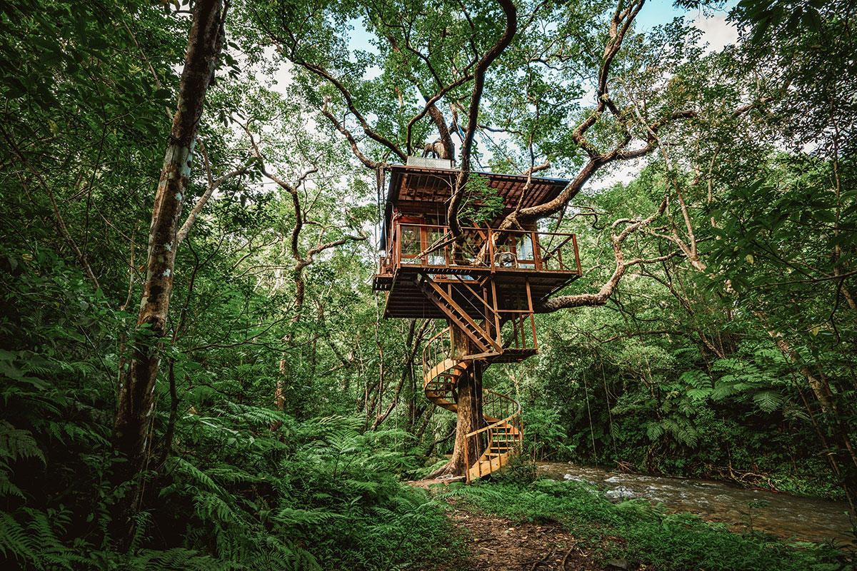 Best Luxury Treehouse Hotels – Travel Curator