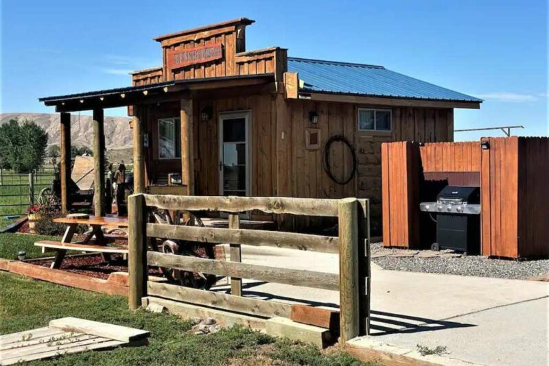 Where to see wild horses in the US and Canada — Travel Curator