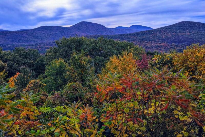 Best Fall Foliage Getaways Near New York City – Travel Curator