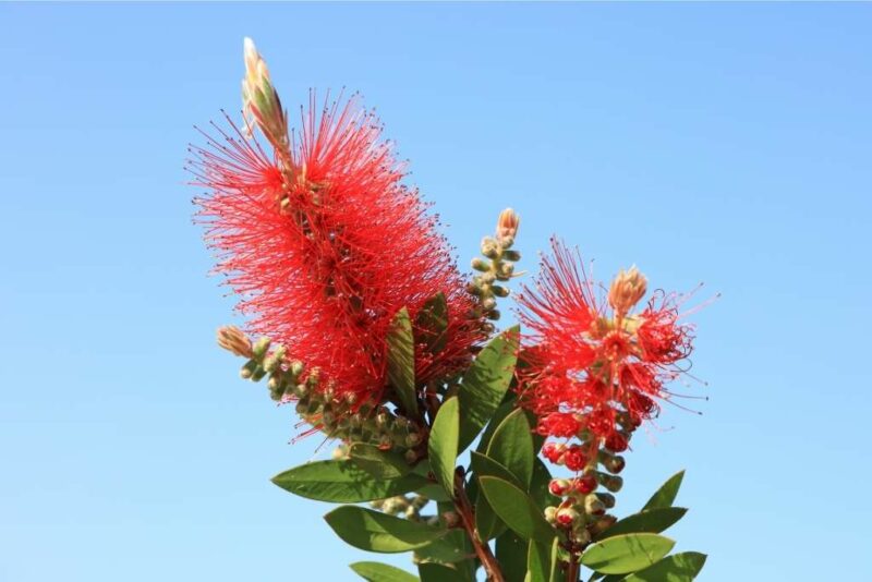 Sardinia The Blue Zone – Travel Curator