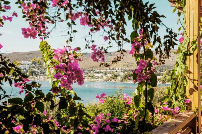 Bodrum Luxury Hotels, Dining & Things to Do – Travel Curator