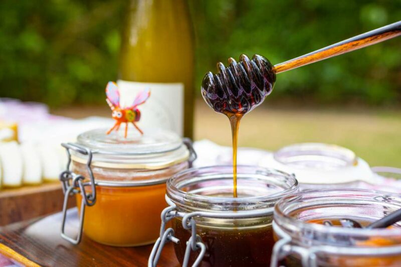 Grand Velas Riviera Maya and Velas Resorts Spa Review – Travel Curator