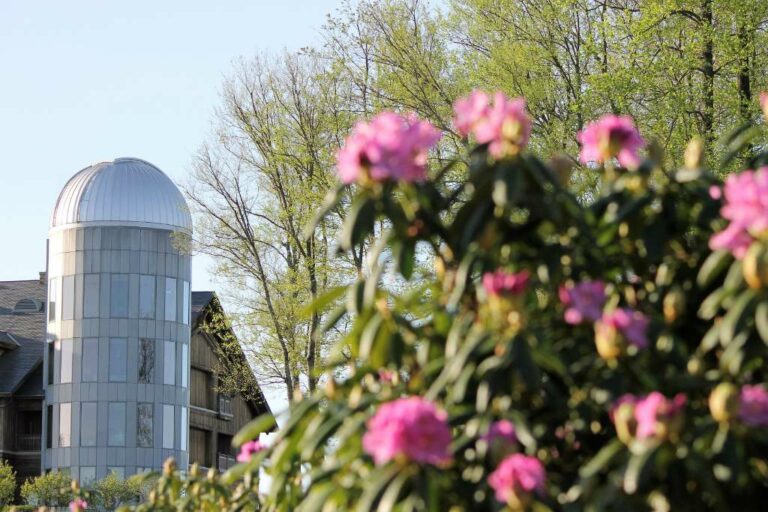 Best Small Towns in Virginia – Travel Curator