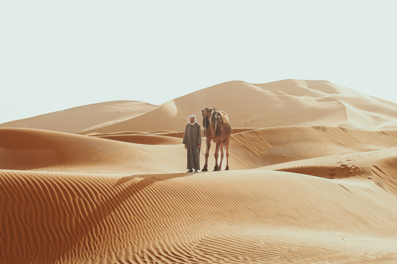 The Most Beautiful Deserts in The World– Travel Curator
